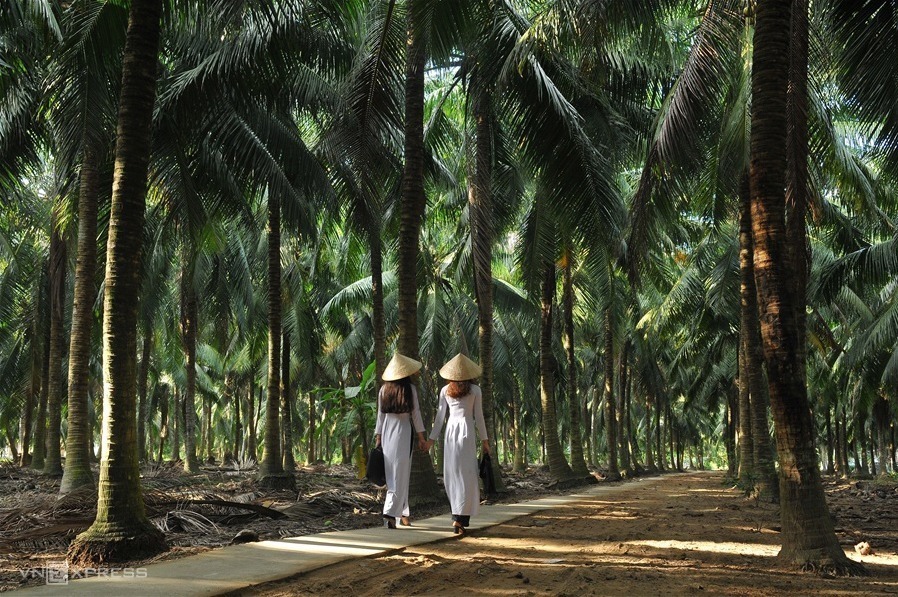 Bonbon de la noix de coco Ben Tre - spécialités traditionnelles à ne ...