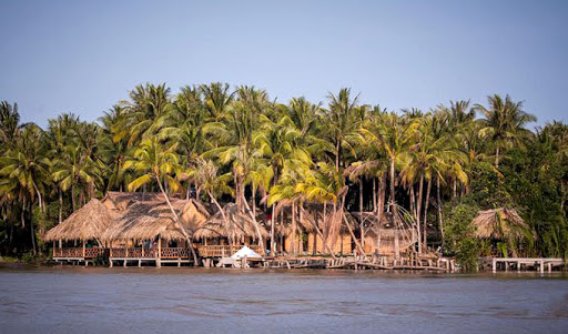 Bonbon de la noix de coco Ben Tre - spécialités traditionnelles à ne ...