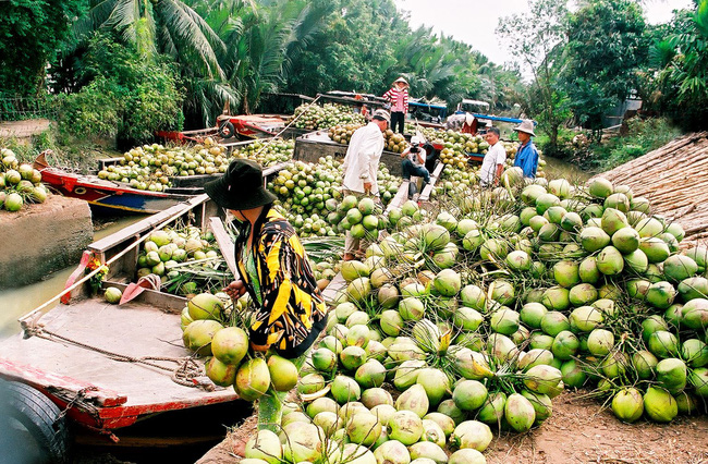Bonbon de la noix de coco Ben Tre - spécialités traditionnelles à ne ...